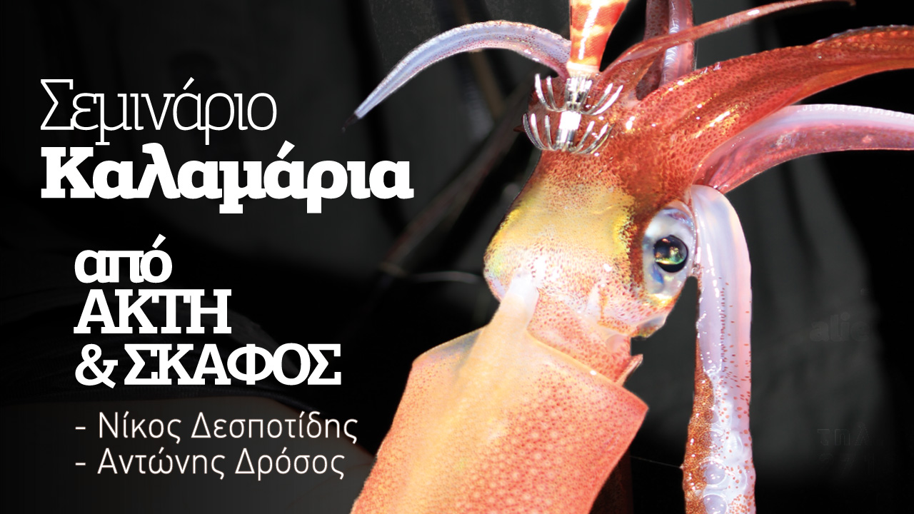 Ψάρεμα Καλαμαριών από ακτή & σκάφος - Σεμινάριο στη Κύπρο - Boat & Fishing