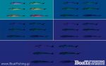 ΣΥΡΤΗ: Ο χρωματισμός στα τεχνητά δολώματα - Boat & Fishing