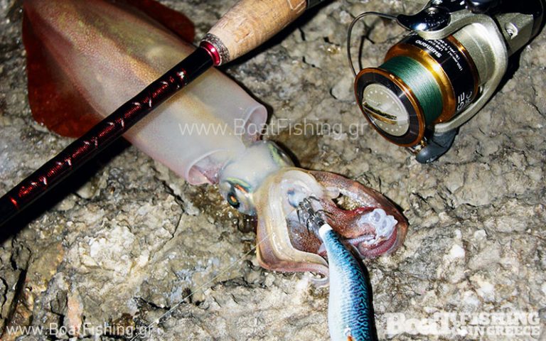 Αφιέρωμα: ψάρεμα για Καλαμάρια - Boat & Fishing