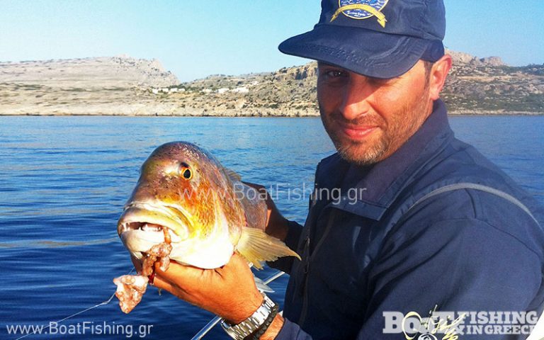 Ψάρεμα με Tenya - Boat & Fishing