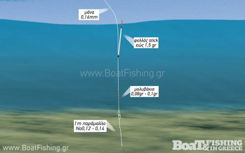 Match fishing: Βραδινό για κέφαλους, σε ήρεμα νερά - Boat & Fishing
