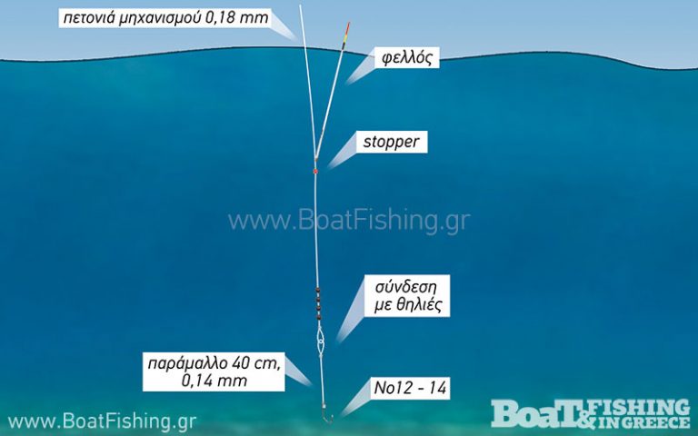 Αφιέρωμα: Τεχνικές για καλοκαιρινά ψαρέματα από ακτή - Boat & Fishing