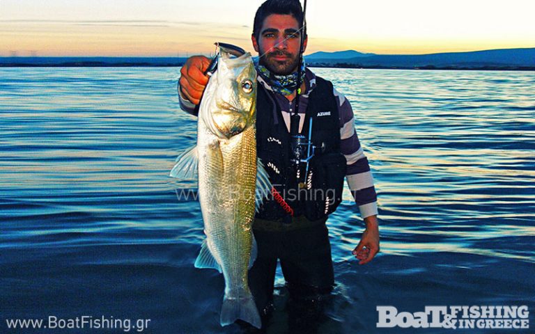 Spinning για Λαβράκια - Boat & Fishing