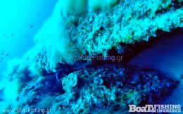 Ψαροτούφεκο: Σηκιός, ένα ψάρι που αποπνέει μυστήριο - Boat & Fishing