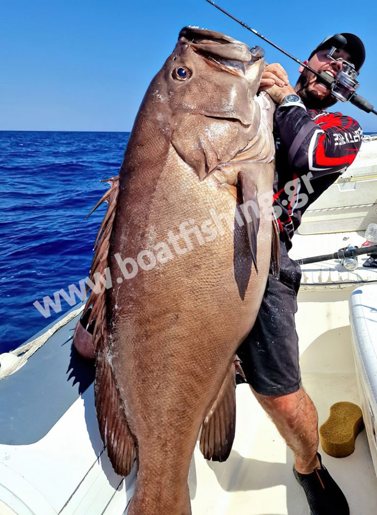 Χανιά: πιάστηκε βλάχος ρεκόρ με λεπτά εργαλεία - Boat & Fishing