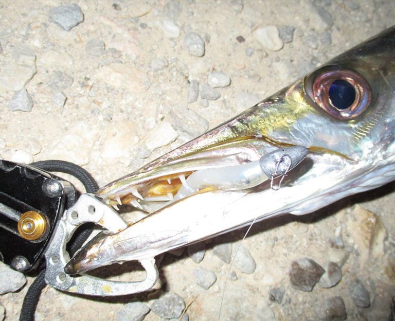 Ψάρεμα με Spinning: Ολα όσα σε οδηγούν στην επιτυχία - Boat & Fishing